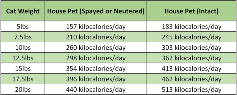 How Much Dry Food Should a Cat Eat Per Day? (Solved) - Foody Paws